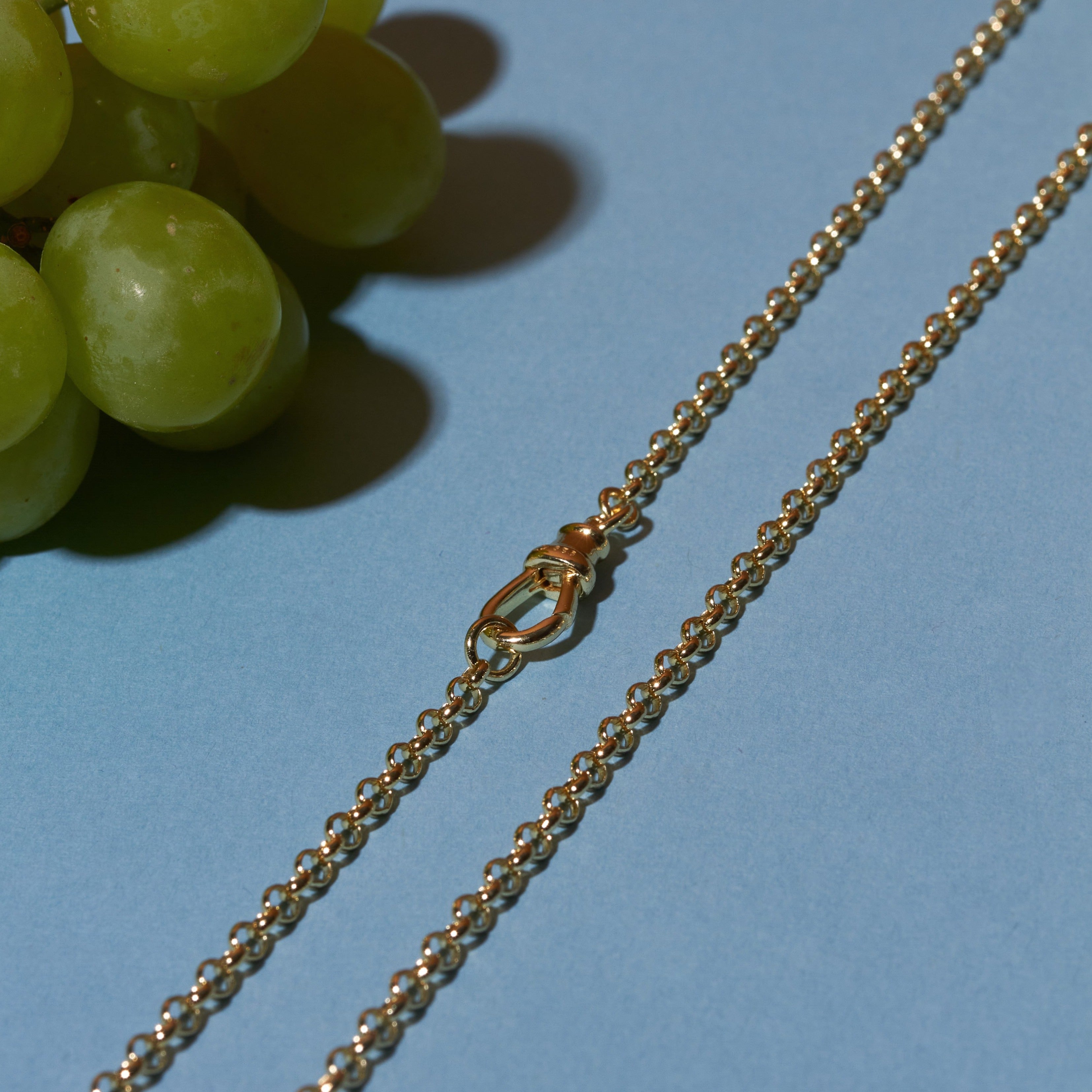 Gold Rolo Chain Necklace in Yellow, Rose or White Gold